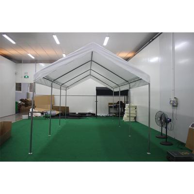 China Prefabricated Steel Carport 300x600cm Garage Canopy for Vehicle Storage Needs for sale