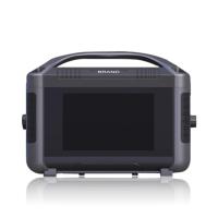 China Mini Handheld Laser Marking Machine 20W 30W 50W Laser Engraver For Plastic And Metal for sale