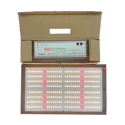 China Custom Spectrum 288LED Quantum Board Grow Light 200W 2x1FT Coverage 50,000 Hours Lifespan for sale