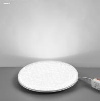 China IP44 Edgeless Round Spotlight Iron Cri80 Crystal PC Diffuser Frameless Backlit Smd2835 Dimmable Free Adjustment Cut Hole 24w 36w 48w 10000K Round Surface Mounted LED Panel Light for sale