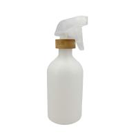 China Matte White 500ml Spray Bottle 16 Ounce Luxury Spray Bottle for sale
