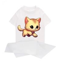 China High Durability Polyester Film for Screen and Offset Printing on Garment at Best for sale