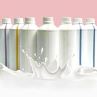 China Direct To Film DTF Ink Textile Printer Ink For Epson White A3 L1800 T Shirt Transfer Printing for sale