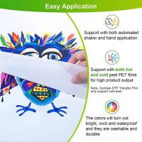 China A Grade DTF Printing Materials Hot Melt Adhesive Glue For T Shirt Heat Transfer for sale