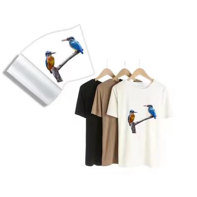 China PET Heat Transfer Film  For L1800 805 1390 XP600 3200 4720 DX5 75mic 60cm*100m white ink printing film for garment for sale