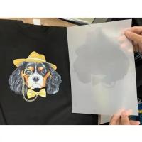 China A4 A3 PET DTF Film Roll Digital Inkjet Printing Film For L1800 XP600 3880 3800 for sale