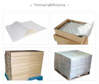 China 48*64cm Water Based Ink PET Offset Printing Film Chemical Resistance 75mic PET release film for sale