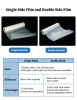 China Double Side Hot Peel 30cm 33cm 43cm 60cm Roll DTF PET Film for i3200 Dtf Printer for sale