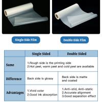China Double Single Side DTF Pet Film 30CM 33CM 60CM 60CM*100M Roll Heat Transfer 75Micron Hot Cold Peel for sale