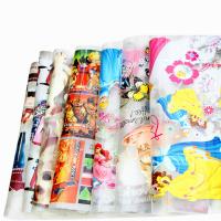 China 100 Mic Silicone Offset Printing Film Glossy 50*70cm PET Release Film For Screen Printing for sale