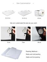 China 100 Mic Silicone Offset Printing Film Glossy 50*70cm PET Release Film For Screen Printing for sale