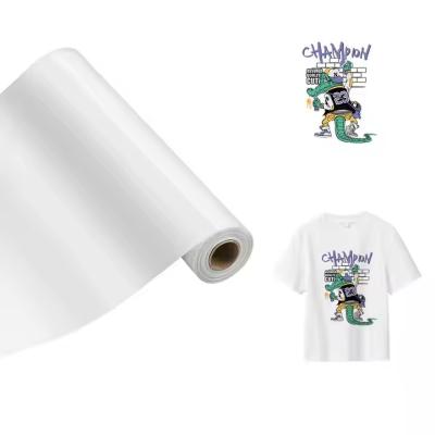 China 30CM*100M Hot Peel Single Double Side Roll DTF Transfer Film for DTF Inkjet Printer for sale