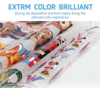China 30CM*100M Hot Peel Single Double Side Roll DTF Transfer Film for DTF Inkjet Printer for sale