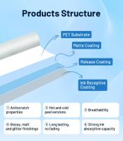 China 60CM DTF Film for Custom Designs 75mic, Cold & Hot Peel Ideal for T-Shirts & Apparel for sale