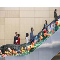 China P7.8mm Transparent LED Film Display with 95% Transparency and Self-Adhesive Installation for Window Glass for sale