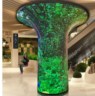 China Customized 1024 Shade LED Display Screen with IP65/IP66 Rating and 100,000+ Hour Lifespan for Indoor/Outdoor Use for sale