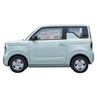 China Geely Panda 4 Seats EV Mini Car Electric New Energy Vehicles for sale