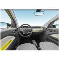 China Pure Mini Electric Car 2 Seater Modern Compact New Energy Vehicles for sale