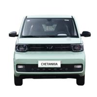 China Pure Mini Electric Car 2 Seater Modern Compact New Energy Vehicles for sale