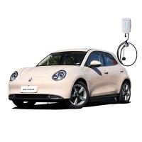 China Sedan Mini EV Cars High Speed Small Electric Sedan Ora Cat For Adult for sale