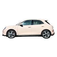 China Sedan Mini EV Cars High Speed Small Electric Sedan Ora Cat For Adult for sale