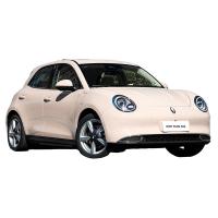 China New Energy Mini Sedan Electric Car Vehicle EPS Steering Ora Good Cat for sale