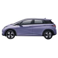 China Fast Charging battery electric vehicle modern 5 Seat Electric Car ergonomic for sale