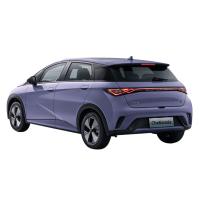 China Fast Charging battery electric vehicle modern 5 Seat Electric Car ergonomic for sale
