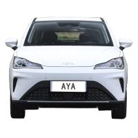 China Neta AYA China Electric Car SUV Pure New Energy 318km for sale