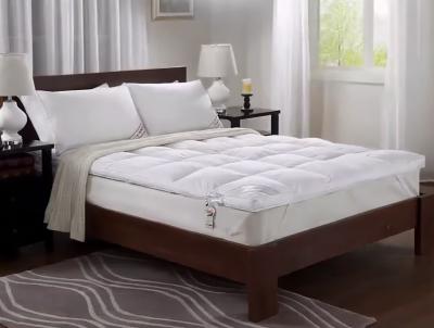China Flame Retardant cotton mattress far away from fire for sale