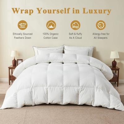 China 50% White Duck Down Pillow with Soft Breathable Cotton Cover for Year Round Comfort for sale