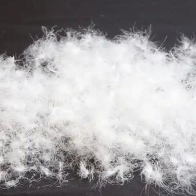China 50% white duck down FP 500+ Cleanliness 1000+ for sale