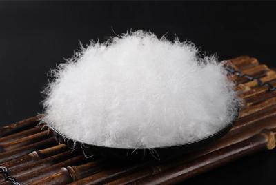 China 75% white goose down ,FP 600+ Cleanliness 1000+ for sale