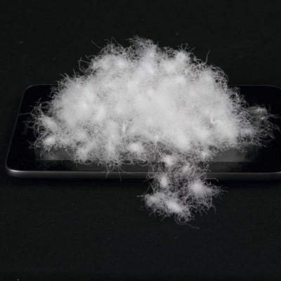 China 80% white goose down ,FP 700+ Cleanliness 1000+ for sale