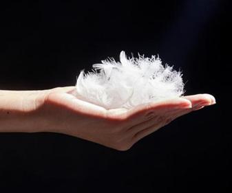 China 2-4cm white goose feather ,FP 350+ Cleanliness 1000+ for sale