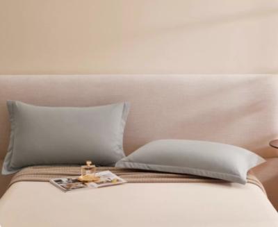China Mite-proof, Water-resistant & Stain-resistant 100% Cotton  Pillow case for sale