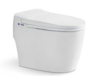 China Intelligent Electric One Piece Smart Toilet Model - 2230 for sale