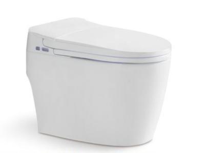 China Intelligent Electric One Piece Smart Toilet Model - 2230 for sale