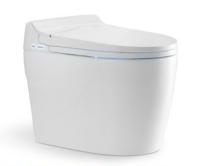 China Intelligent Electric One Piece Smart Toilet Model - 2209 for sale