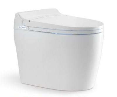 China Intelligent Electric One Piece Smart Toilet Model - 2209 for sale