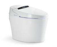 China Intelligent Electric One Piece Smart Toilet 2214 with Heated Seat and IPX4 Waterproof for sale