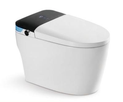 China Intelligent Electric One Piece Smart Toilet Model - 2240 for sale