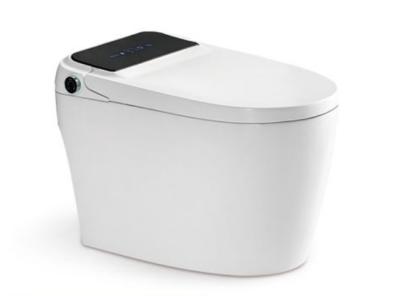 China Intelligent Electric One Piece Smart Toilet Model - 2215 for sale