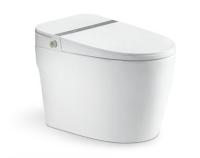 China Intelligent Electric One Piece Smart Toilet Model - 2201 for sale