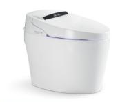 China Intelligent Electric One Piece Smart Toilet Model - 2014 for sale