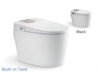 China Mocee Intelligent Electric One Piece Smart Toilet 2212 Built-in Tank IPX4 for sale