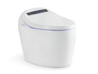 China Intelligent Electric One Piece Smart Toilet Model - 2206 for sale