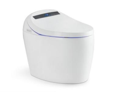 China Intelligent Electric One Piece Smart Toilet Model - 2206 for sale