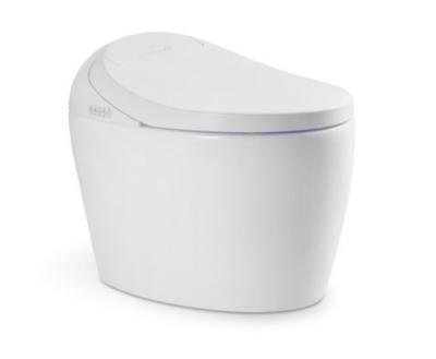 China Intelligent Electric One Piece Smart Toilet Model - 2205 for sale