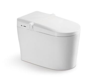 China Mocee 2218CHJ Intelligent Electric One Piece Smart Toilet 220V Automatic Pad Change for sale